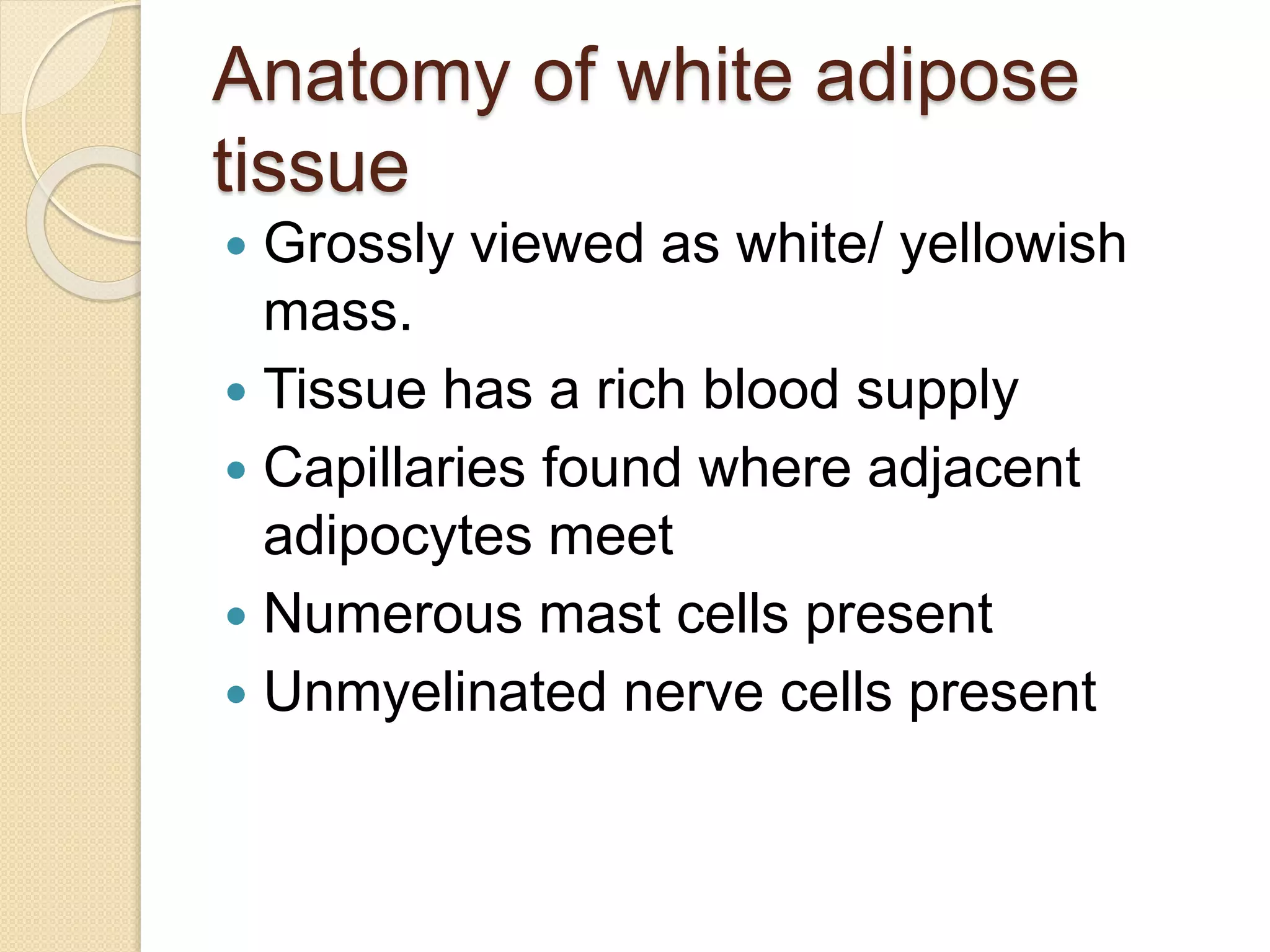 The white adipose tissue | PPTX