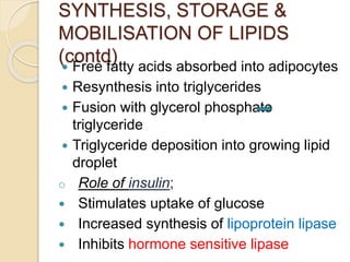 The white adipose tissue | PPT
