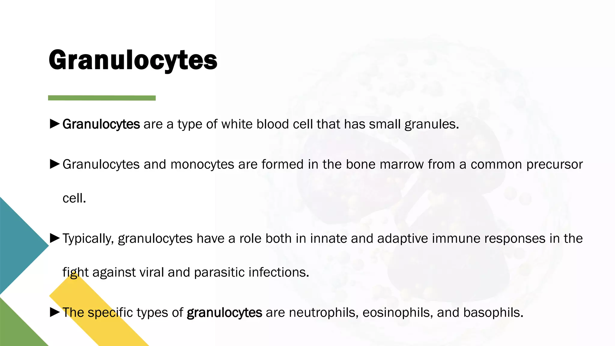 The white cells granulocytes and their benign disorders | PDF