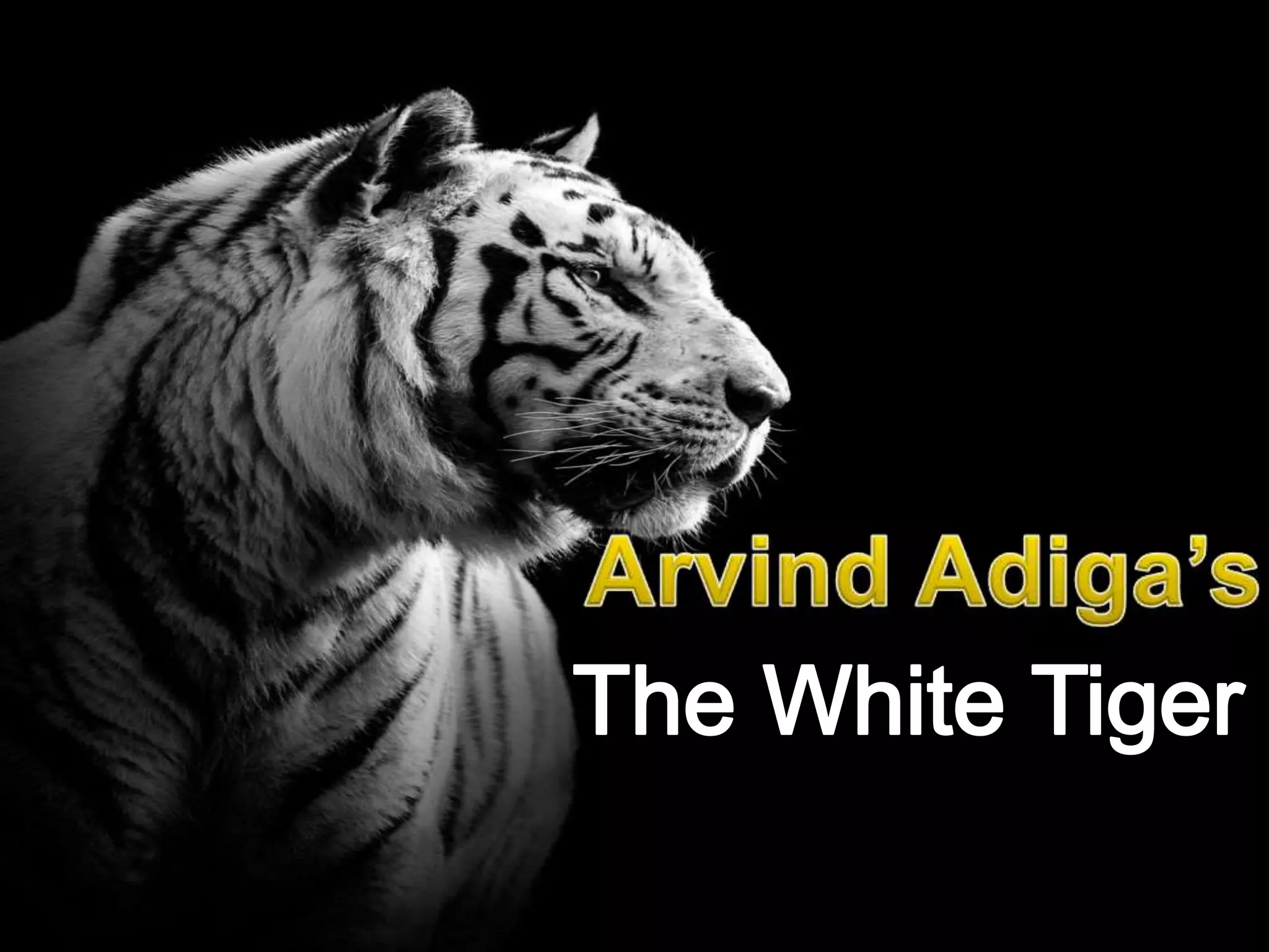 The White Tiger | PPTX