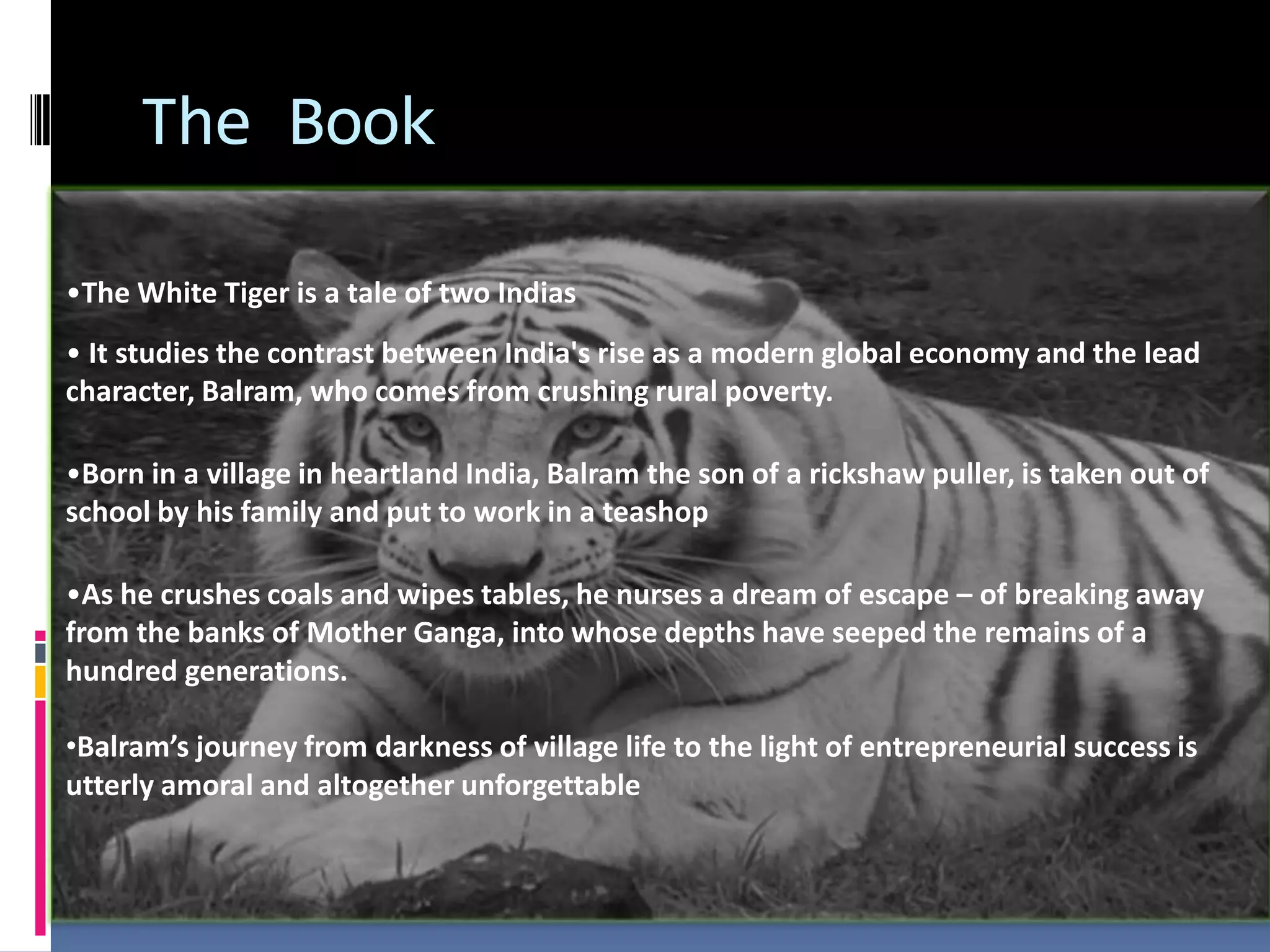 The White Tiger Review | PPTX