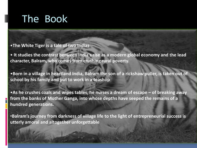 The White Tiger Review | PPTX