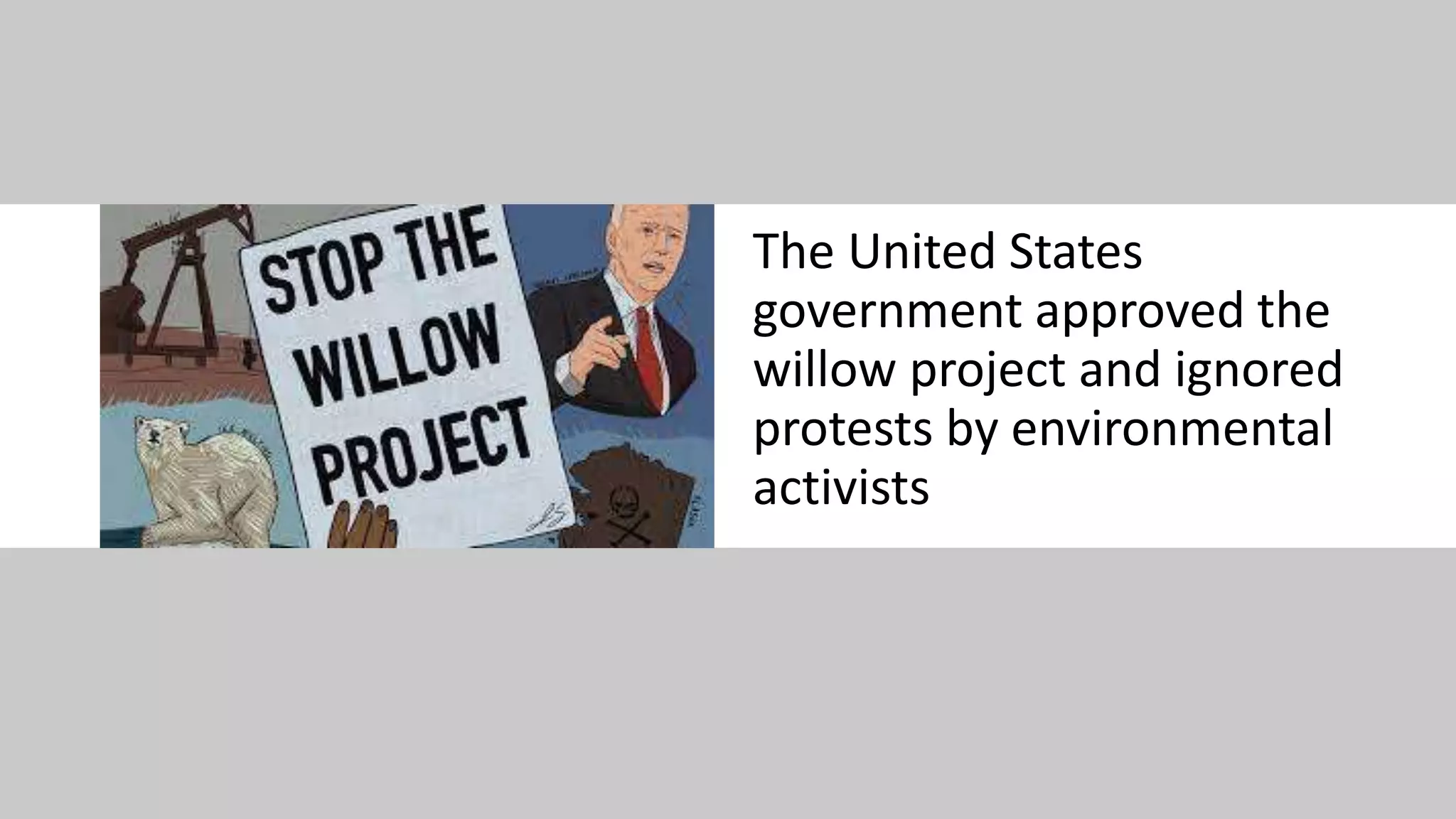 THE WILLOW PROJECT.pptx