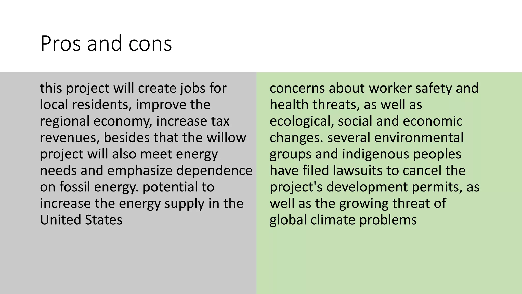 THE WILLOW PROJECT.pptx