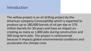 THE WILLOW PROJECT.pptx