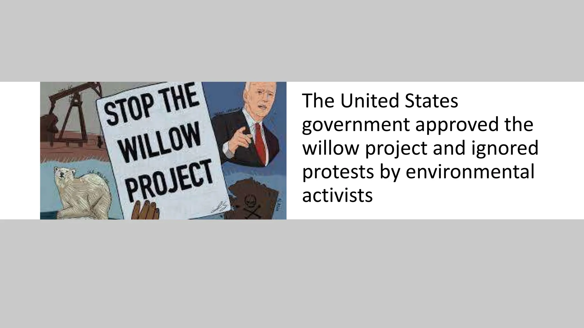 THE WILLOW PROJECT.pptx