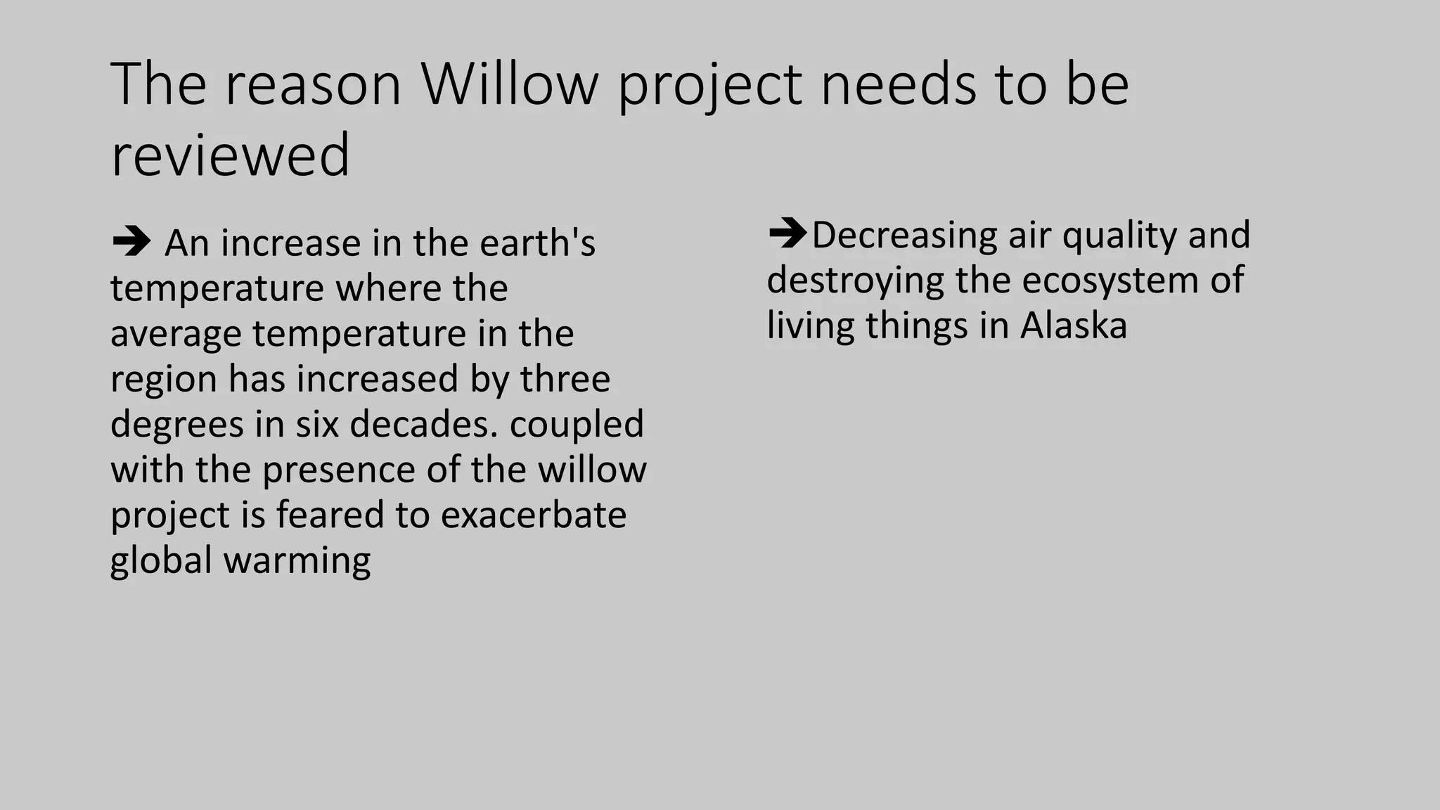 THE WILLOW PROJECT.pptx