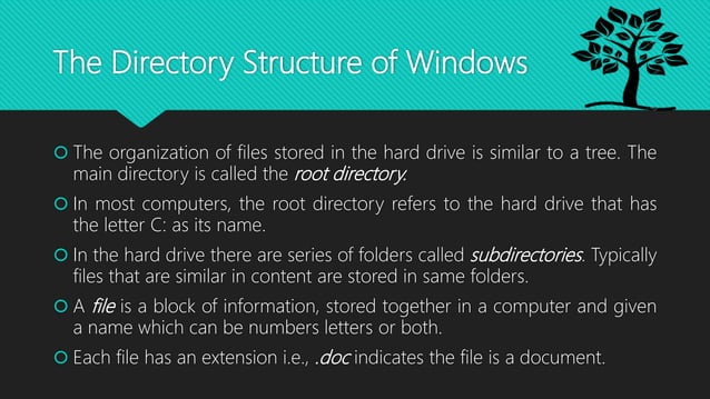 The windows hierarchy | PPTX