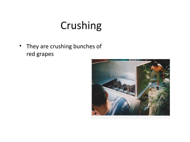 zurlo-nelba_ingles.ppt