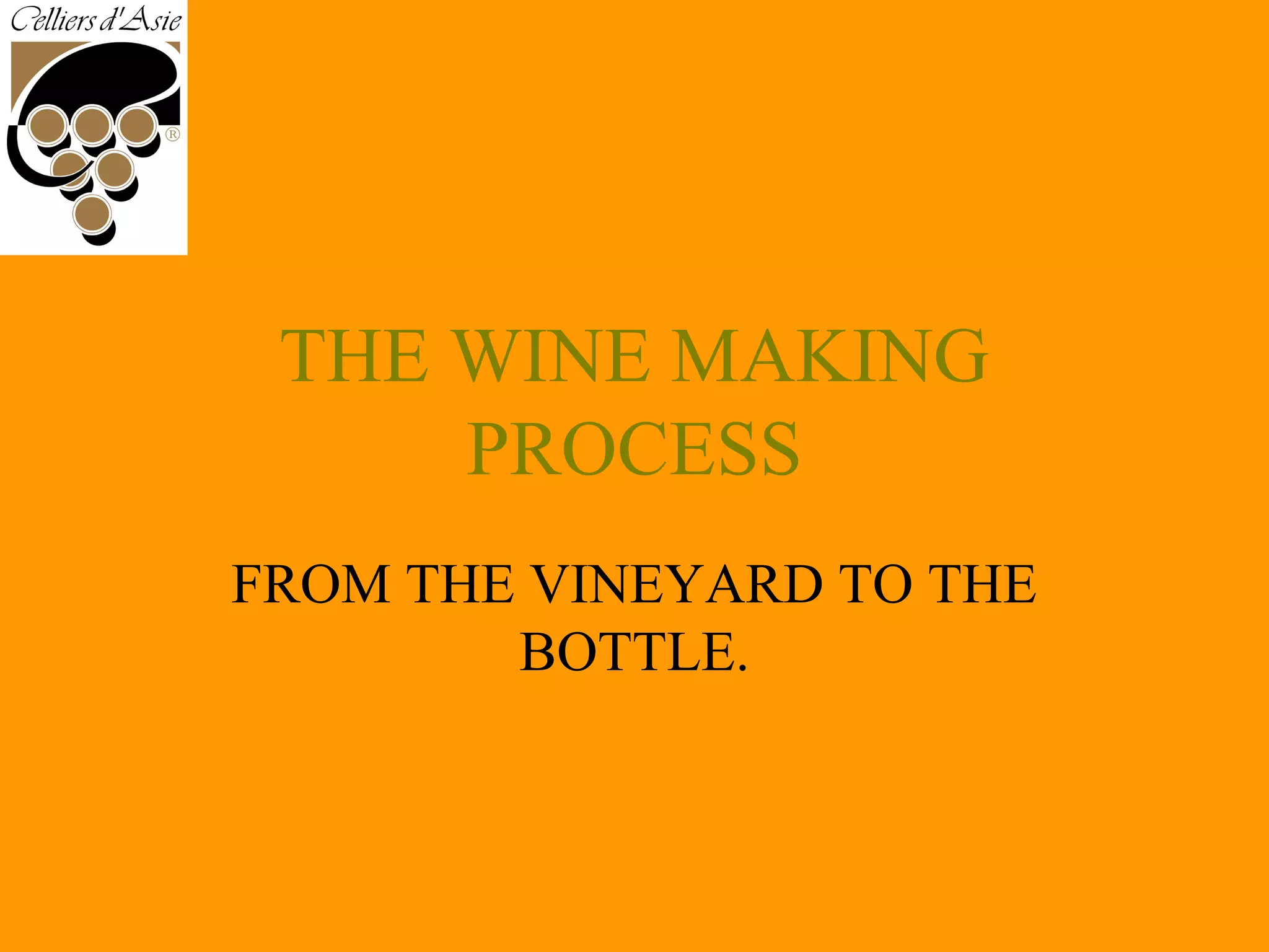 The wine making process | PPT