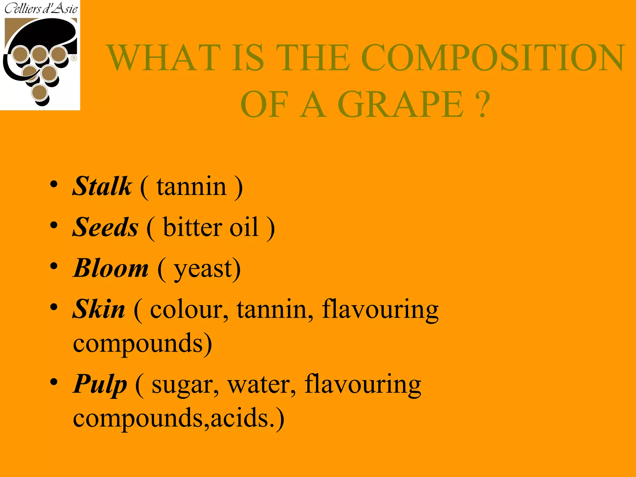 The wine making process | PPT