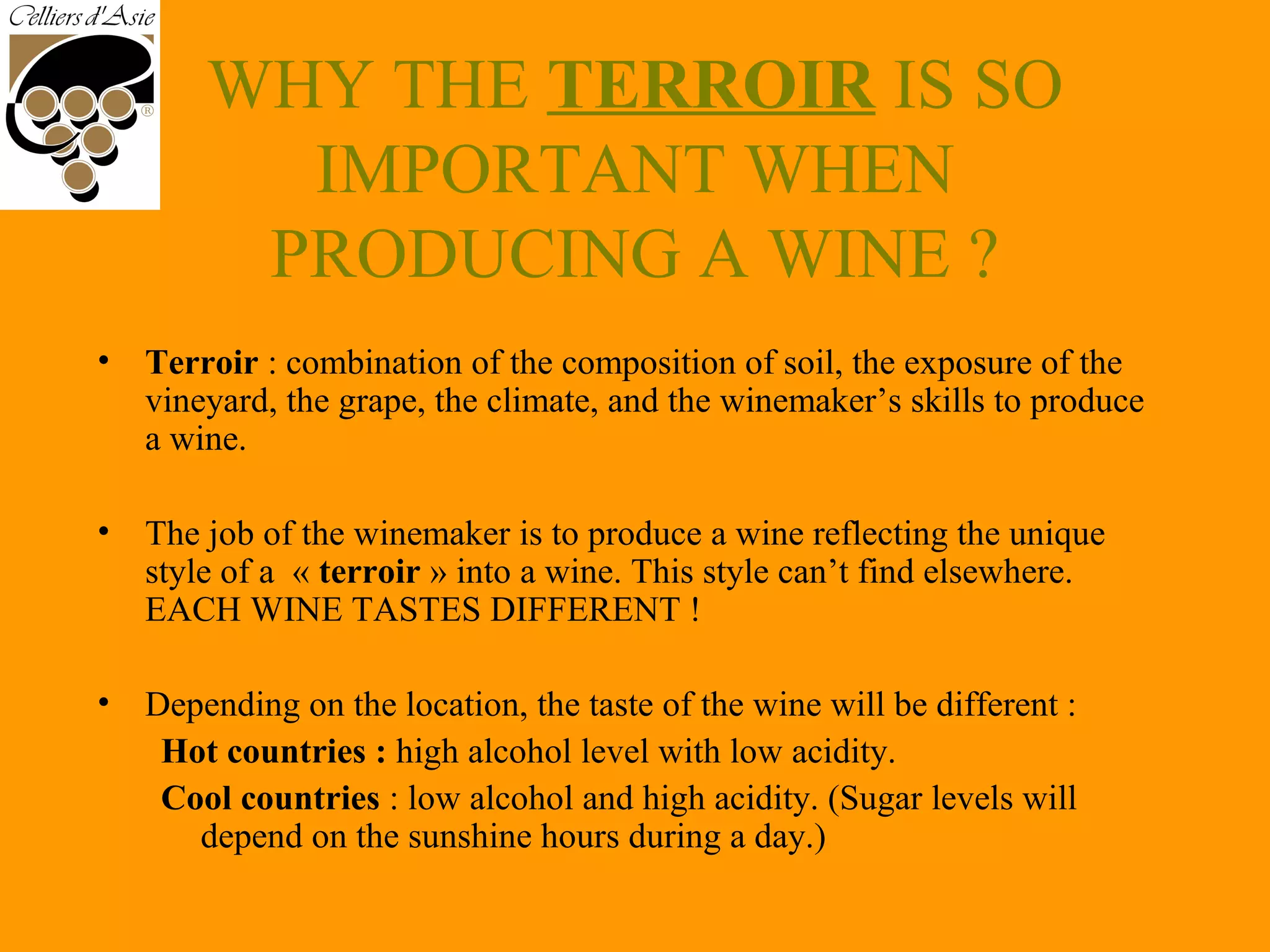 The wine making process | PPT