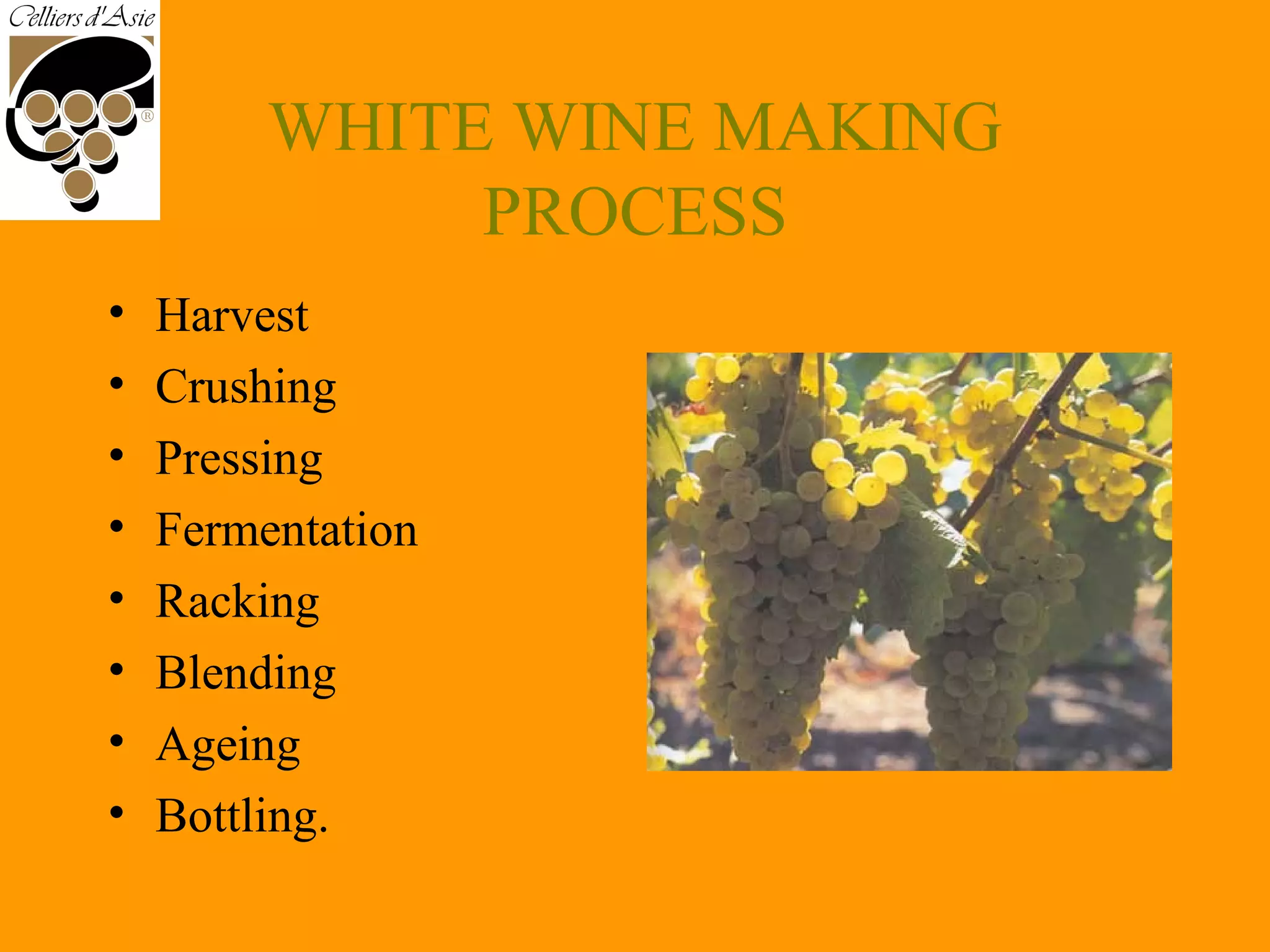 The wine making process | PPT