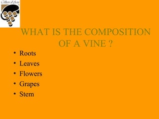 The wine making process | PPT