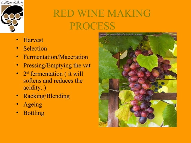 The wine making process | PPT | Alcoholic Beverages | Food & Drink