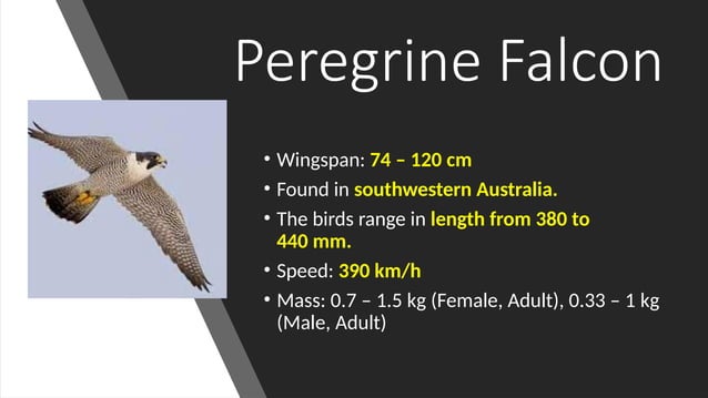 THE WINGSPAN OF BIRDS’.pptx ENGLISH CLASS 10 | PPTX