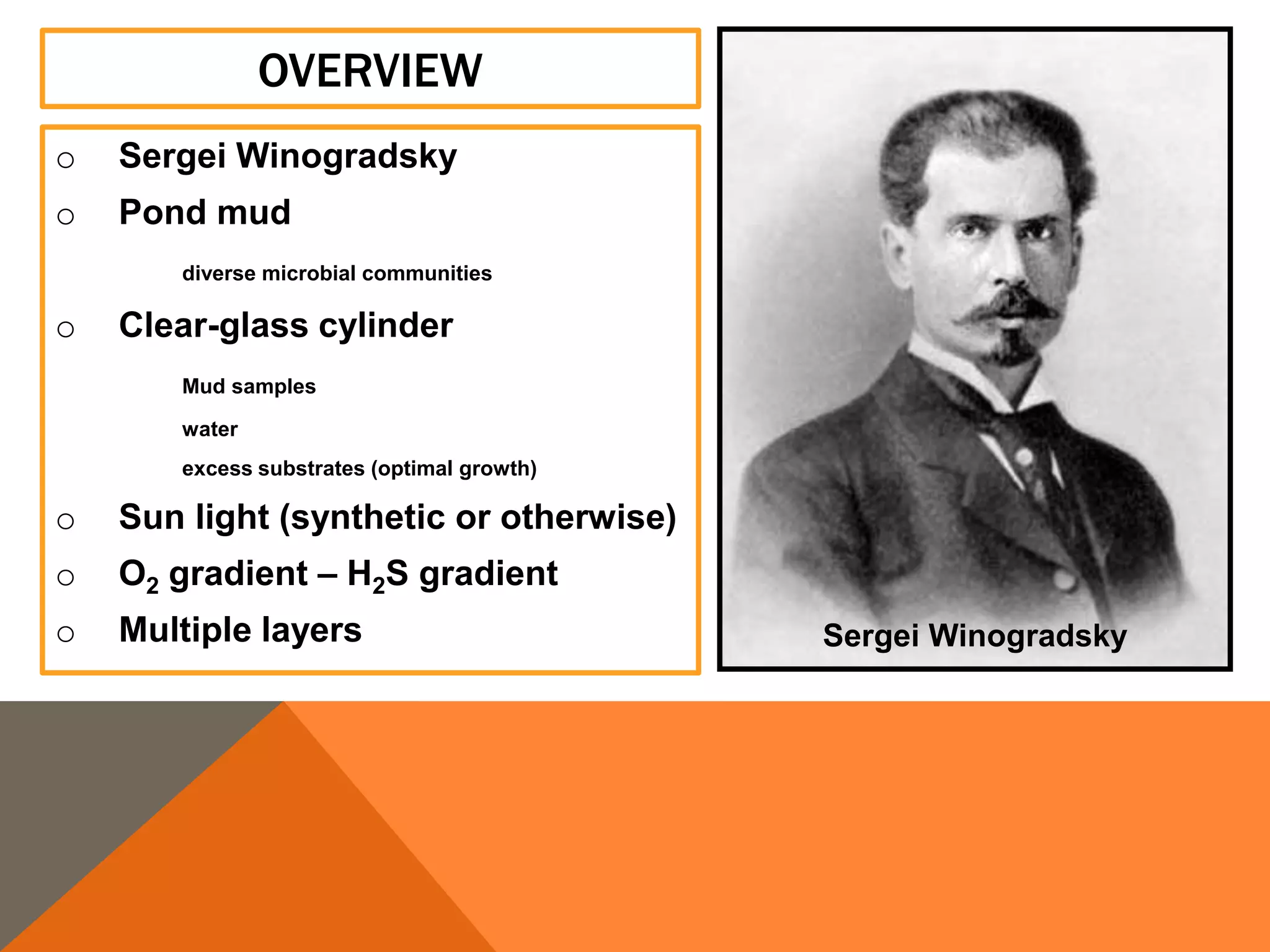 The Winogradsky Column | PPTX