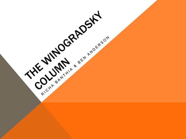The Winogradsky Column | PPTX | Chemistry | Science