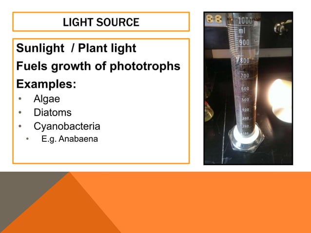 The Winogradsky Column | PPTX | Chemistry | Science