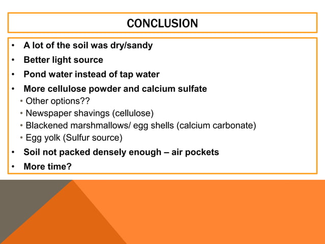The Winogradsky Column