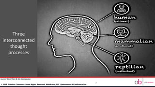 Wiring Your Consumer's Brain | PPT | Free Download