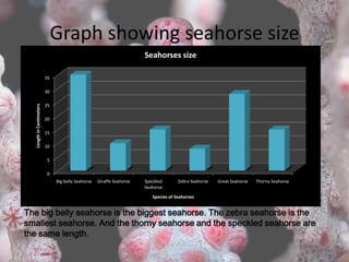 The Wonderful Seahorse Kingdom | PPTX | Fish and Aquariums | Pets