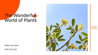 The Wonderful World of Plants for Agricrop 10.pptx