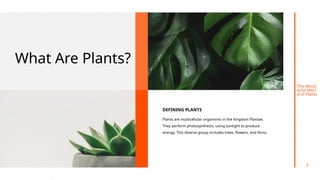 The Wonderful World of Plants for Agricrop 10.pptx