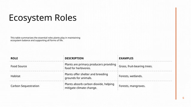 The Wonderful World of Plants for Agricrop 10.pptx
