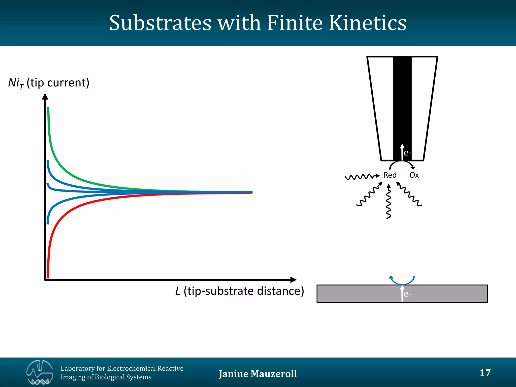 The Wonderful World of Scanning Electrochemical Microscopy (SECM) | PPTX