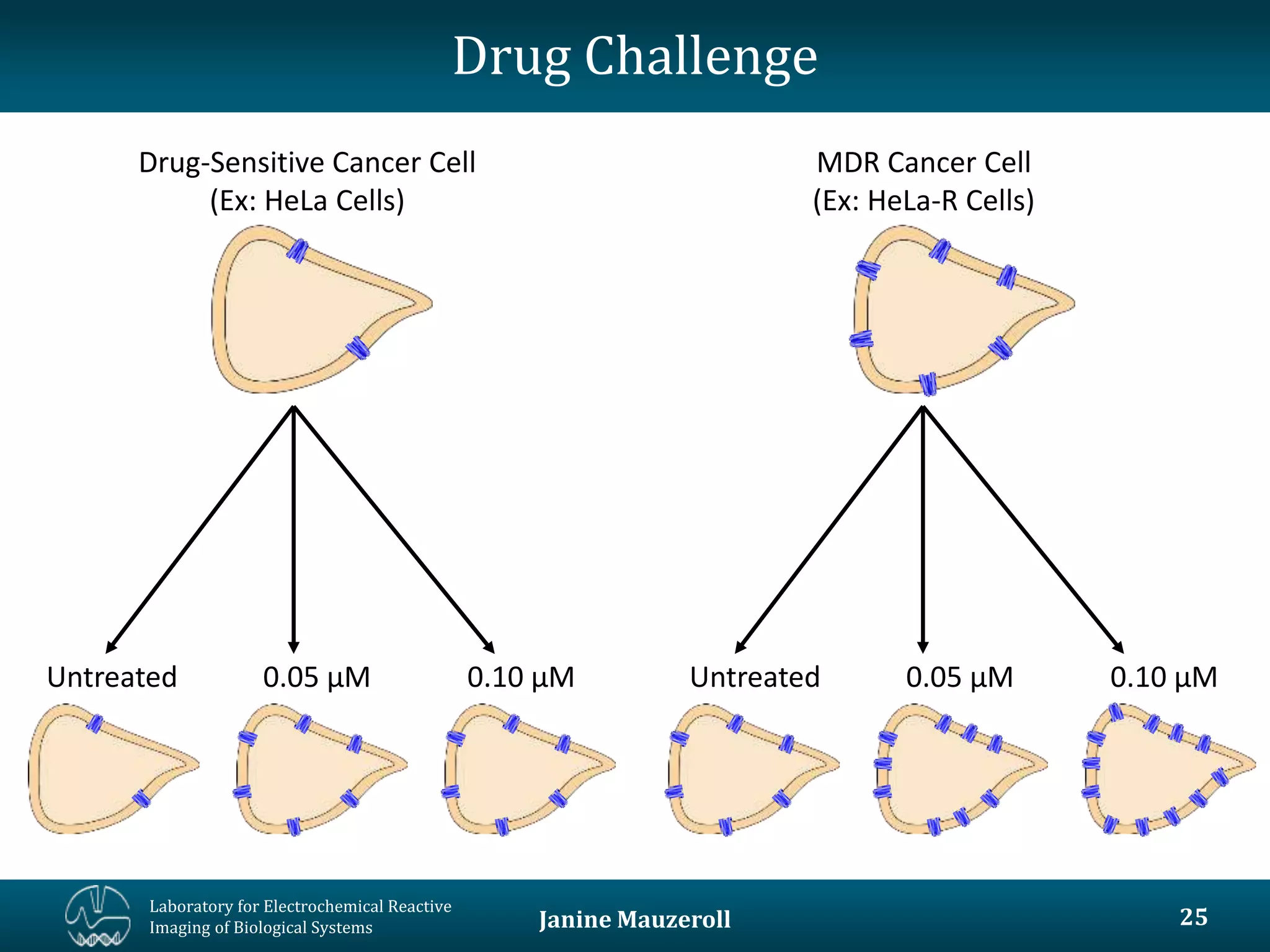 The Wonderful World of Scanning Electrochemical Microscopy (SECM) | PPTX