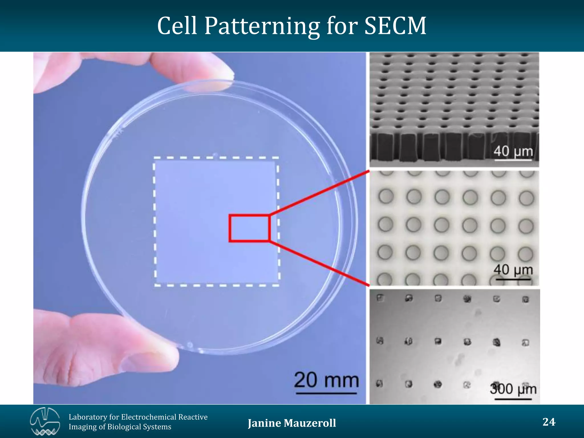 The Wonderful World of Scanning Electrochemical Microscopy (SECM) | PPTX