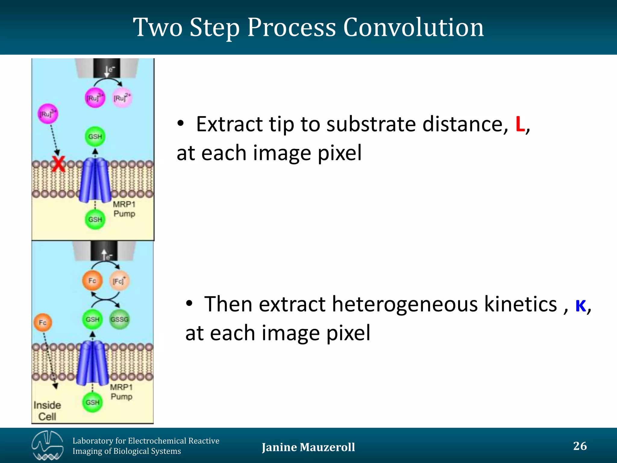The Wonderful World of Scanning Electrochemical Microscopy (SECM) | PPTX