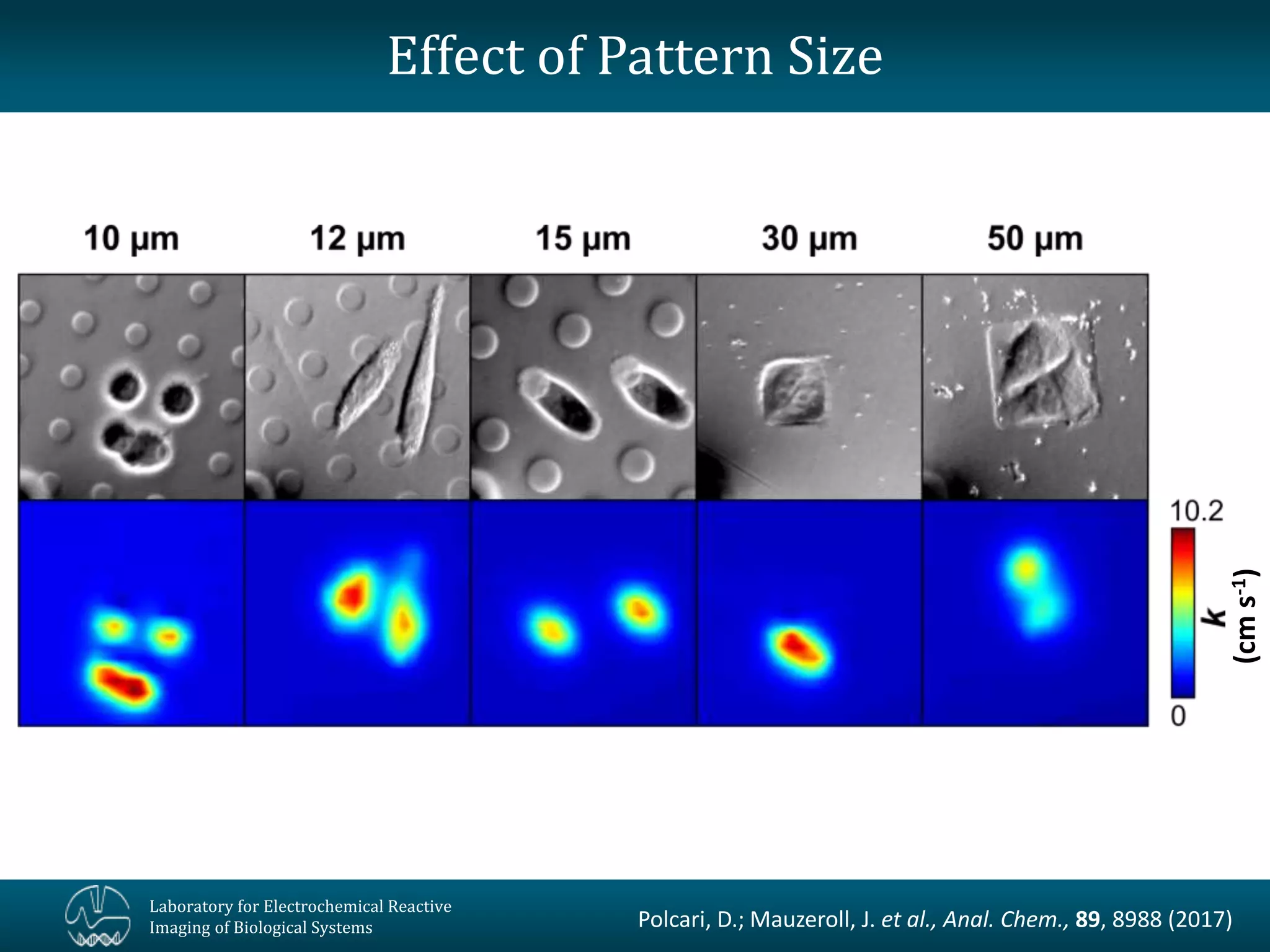 The Wonderful World of Scanning Electrochemical Microscopy (SECM) | PPTX