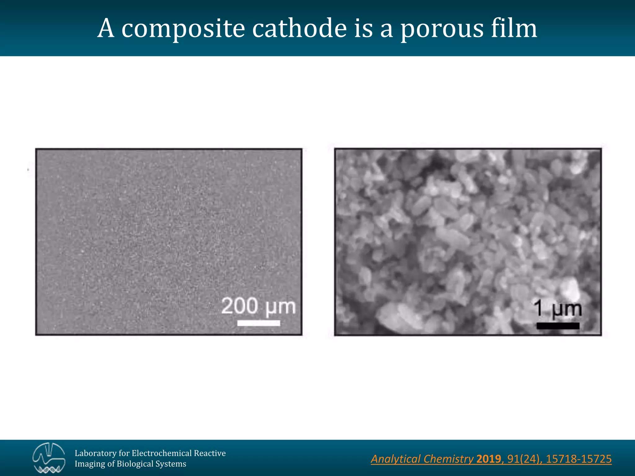 The Wonderful World of Scanning Electrochemical Microscopy (SECM) | PPTX
