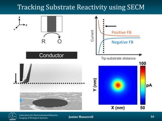 The Wonderful World of Scanning Electrochemical Microscopy (SECM) | PPTX
