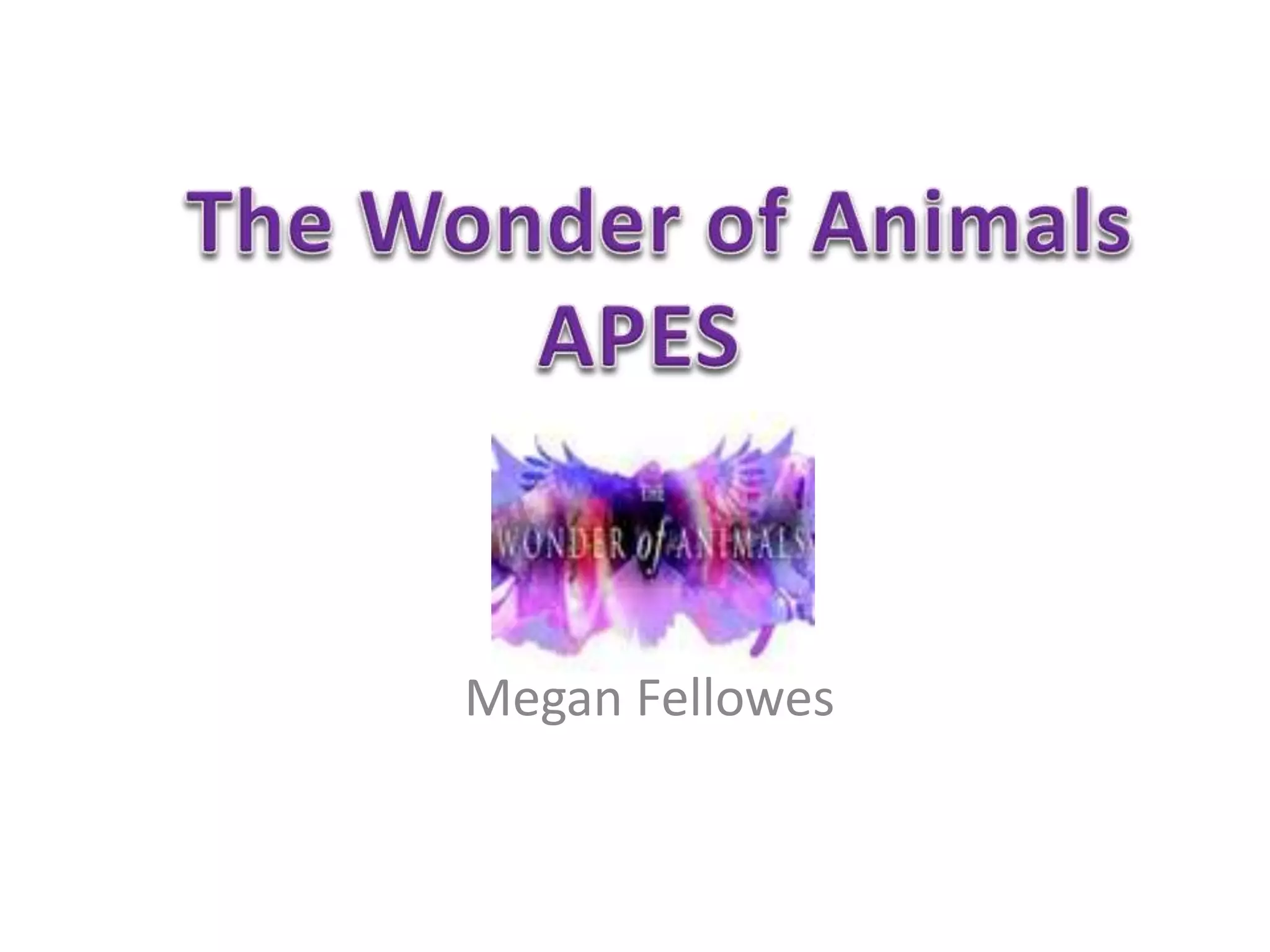 The Wonder Of Animals | PPTX