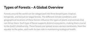 The Wonders of Forests_ A Glimpse into Their Types and Diversity.pdf