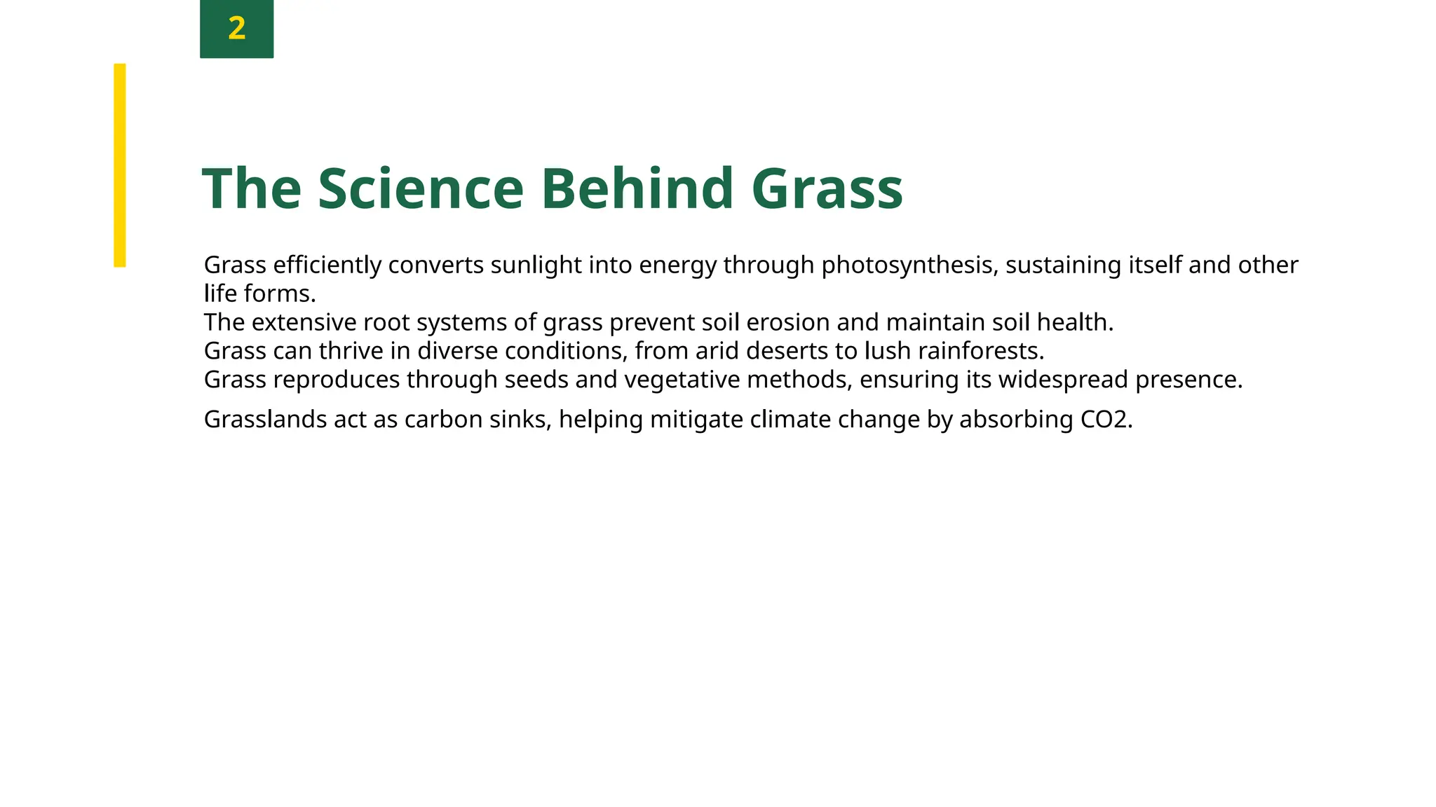 TheWondersofGrass7c40e00bbd39248b.pptxgtass | PPTX