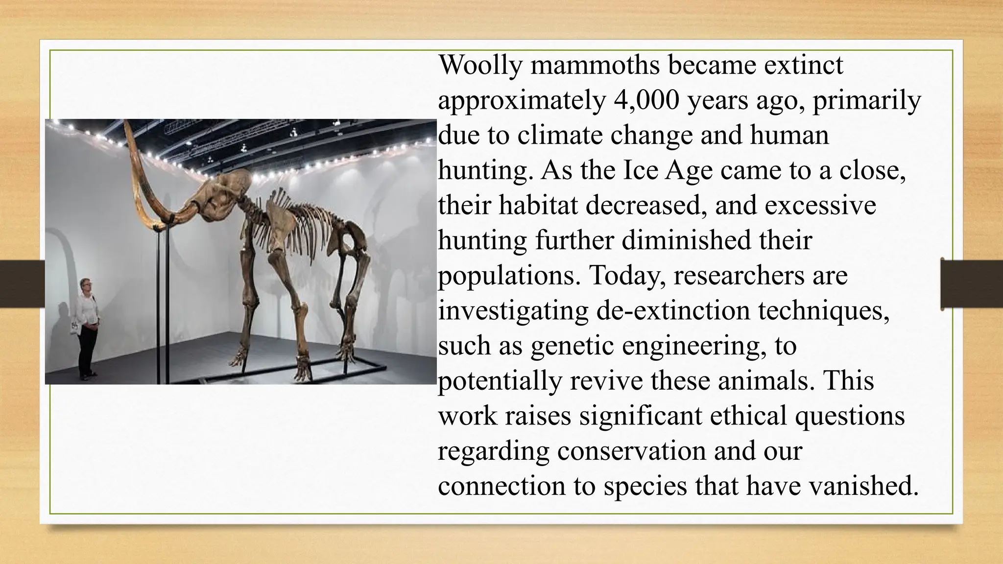 The Woolly mammoth.pptx( history stories) | PPTX
