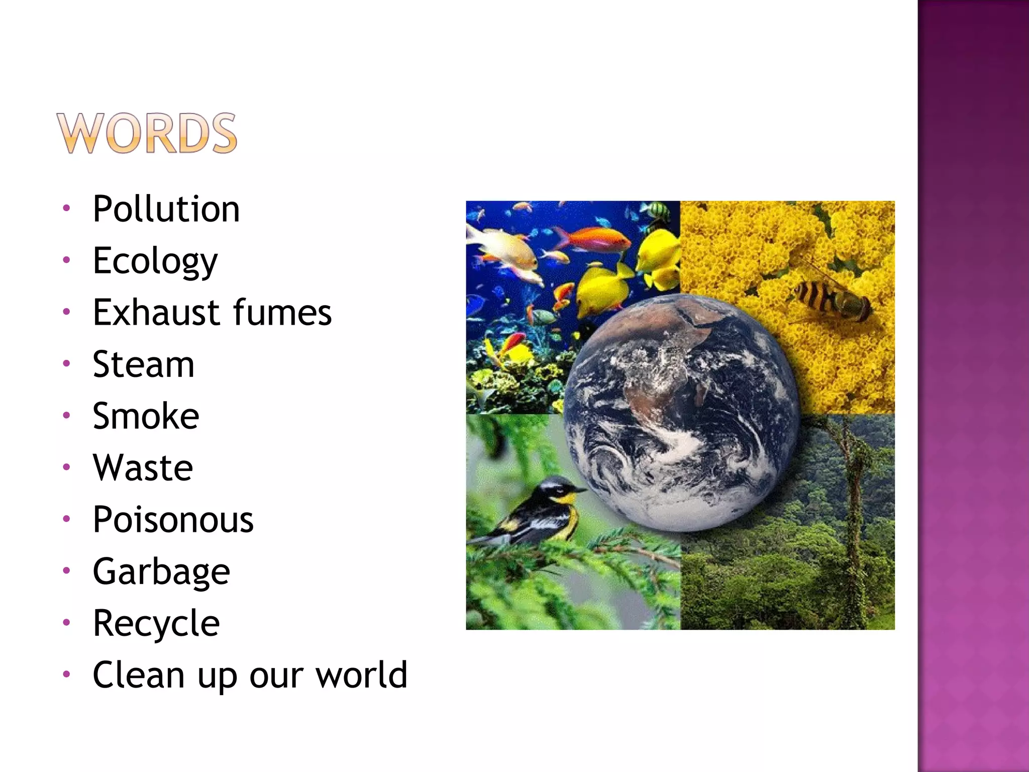 The World Is Beautiful | PPT