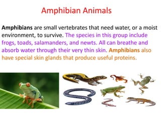 The world of animals | PPTX