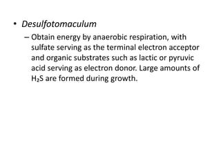Ordinary Gram-Positive Bacteria | PPTX