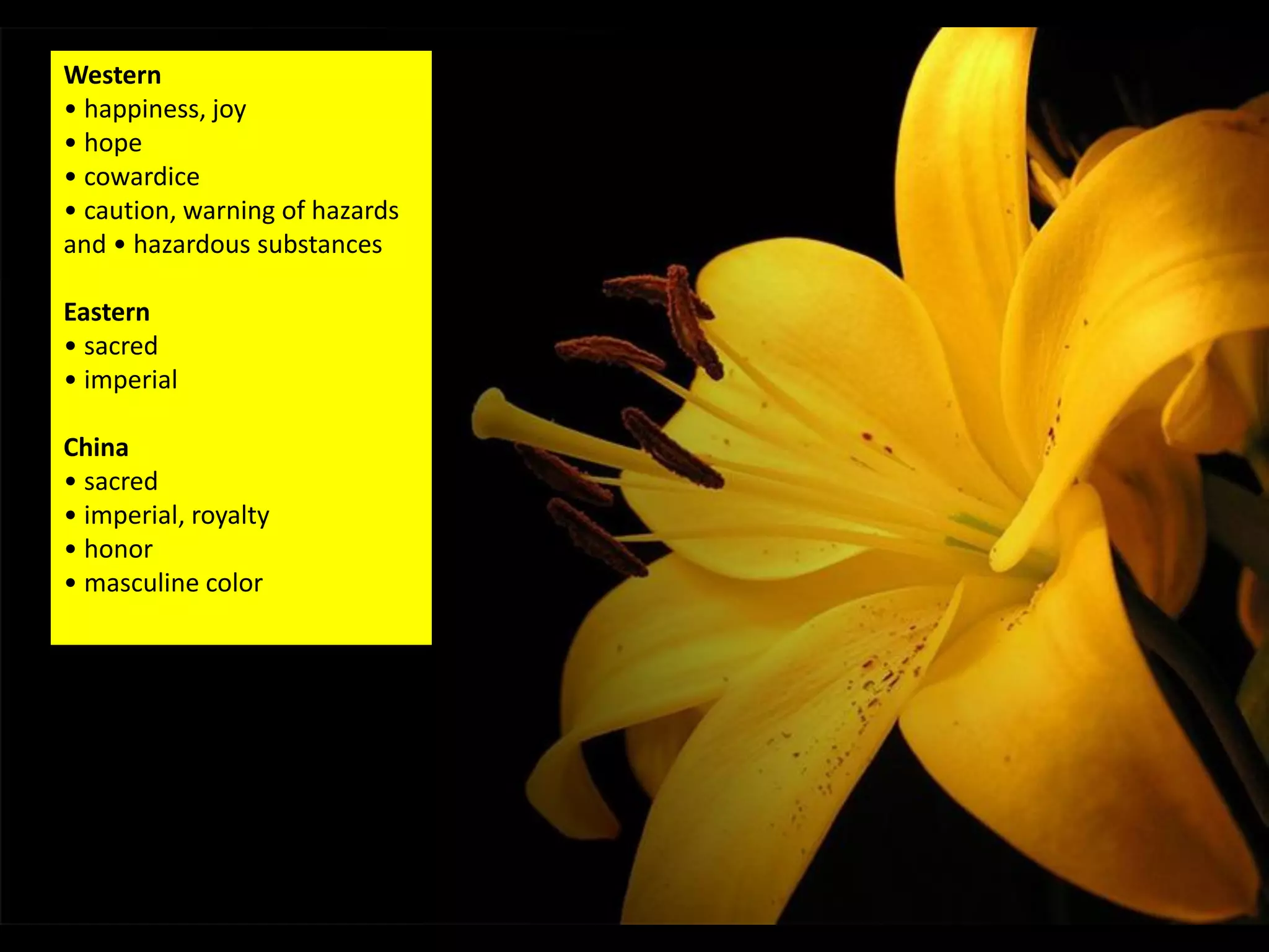 The world of colors | PDF