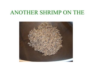 The World Of Commissary Cook Chill | PPT