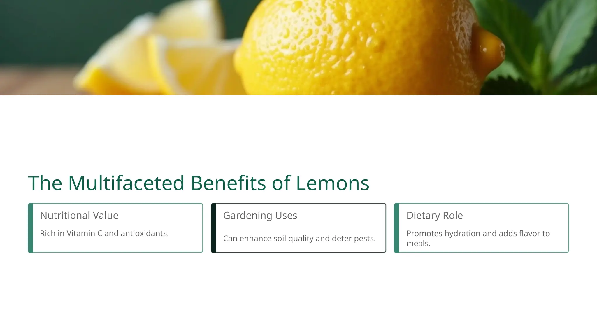The World of Lemonstasty and healthy.pptx