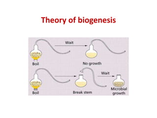 The world of microbes | PPTX