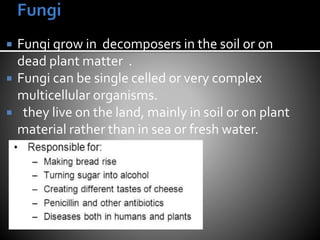 The world of microorganisms' . | PPTX