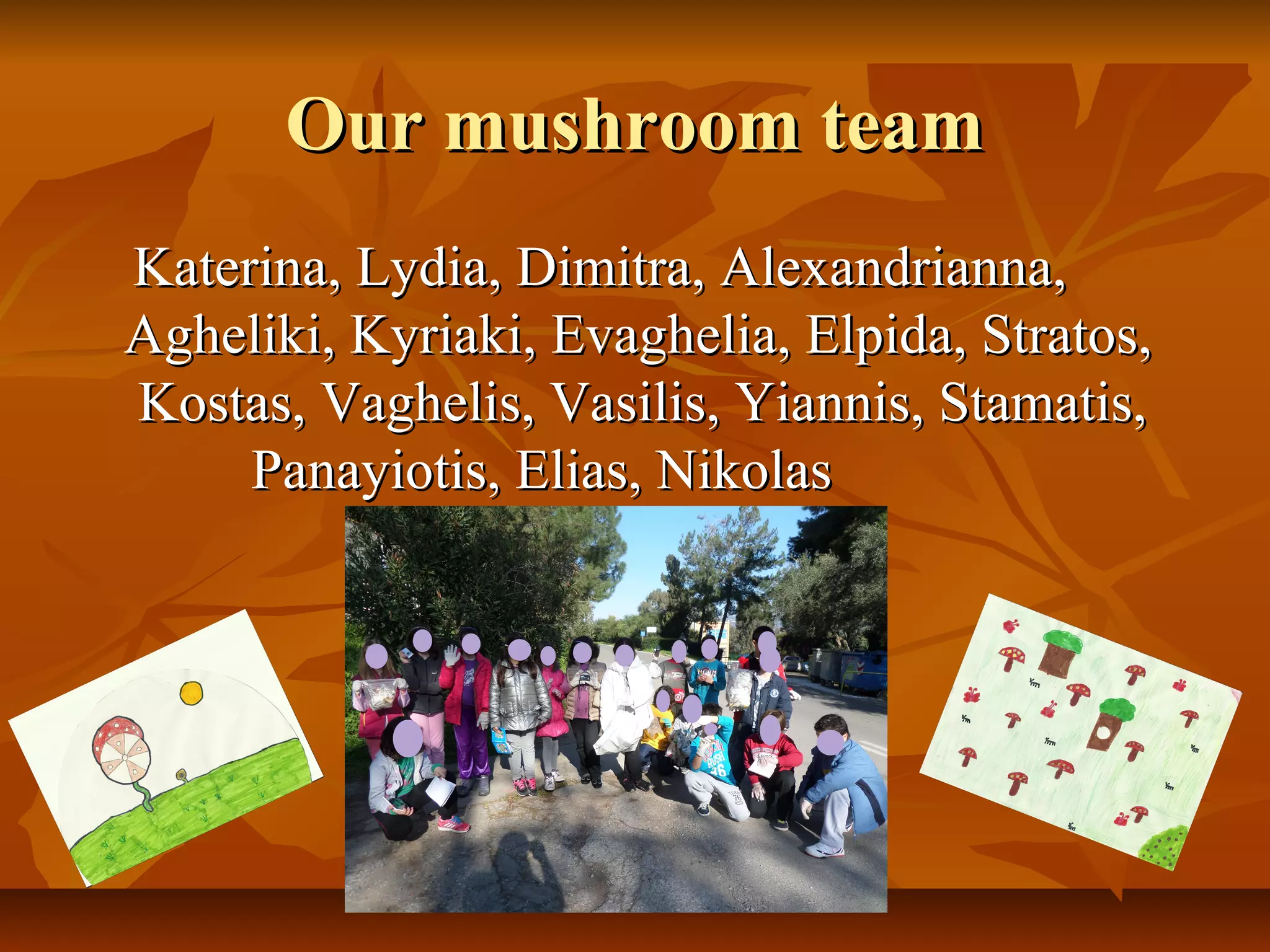 The world of mushrooms presentation | PPT