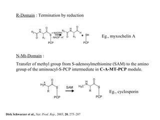 The World of Nonribosomal Peptides | PPT